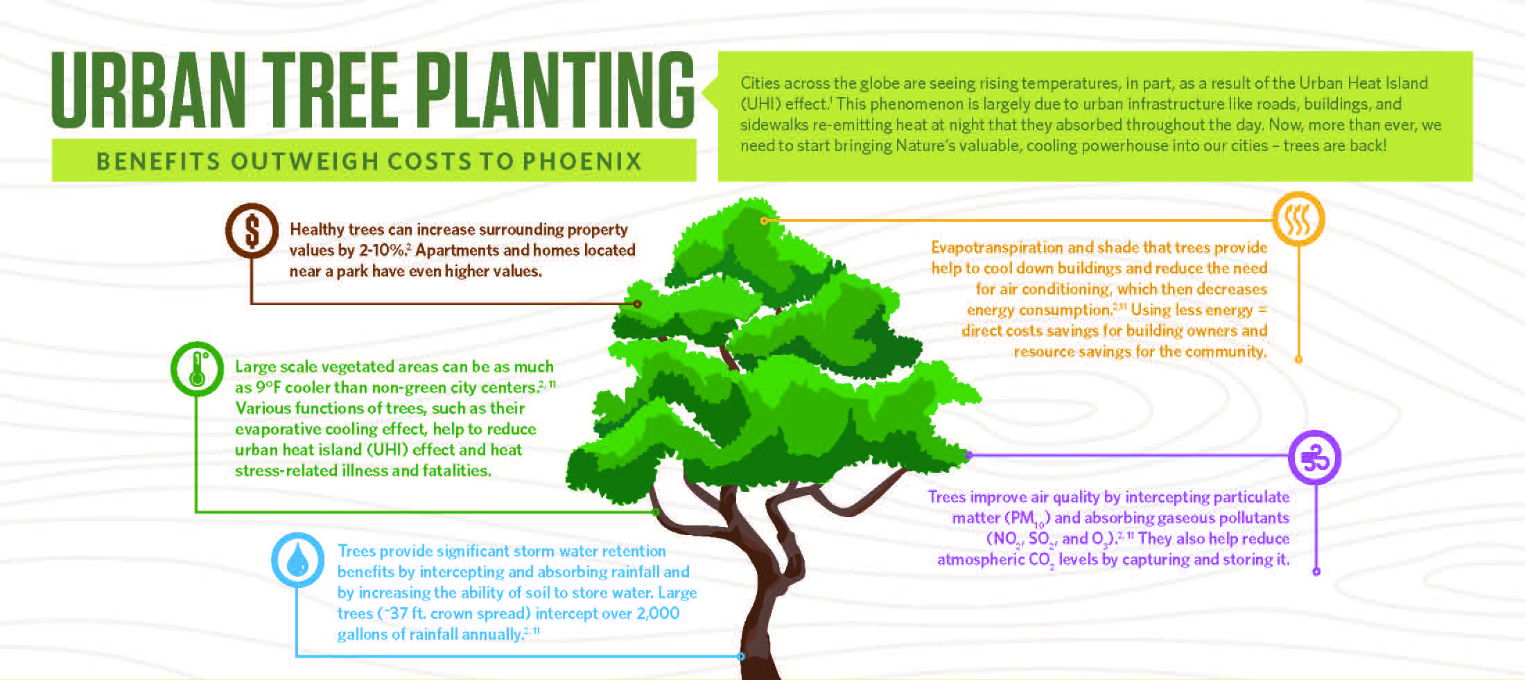 Why is Planting Trees Important: Boosting Ecosystem Health – Inside Grown